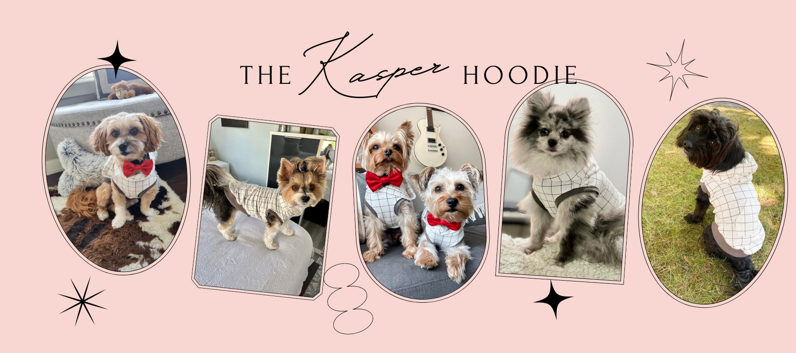 Sharper Barker Dog Apparel and Dog Accessories